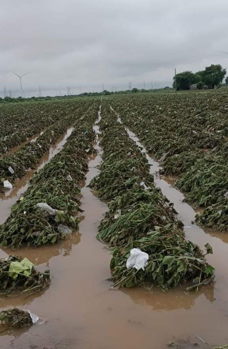 Rain of Promises After Heavy Rain; When will we actually get help ...