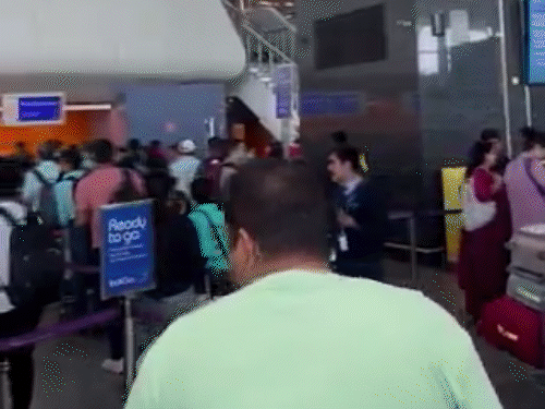 Indigo Airline System Outage Update | Ground Services & Check in ...