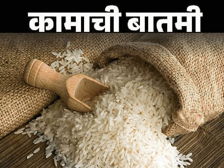 Fortified Rice Vs Normal Rice; Benefits And Difference | PMGKAY Yojana ...