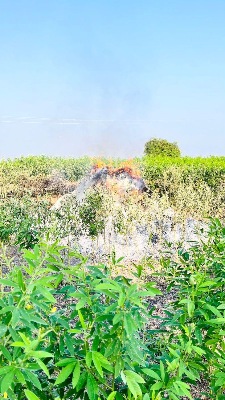 Loss of seven and a half lakhs due to burning of soybeans in Kamkheda ...