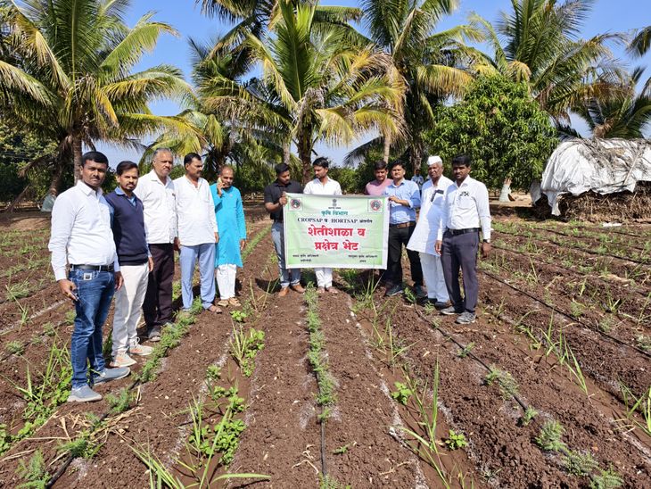 Guidance in farm workshops and field visits under CropSap, information ...