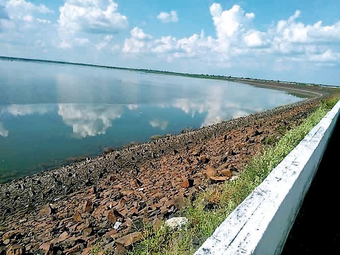 Manjara Dam will benefit 18,000 hectares of area | मांजरा धरणामुळे १८ ...