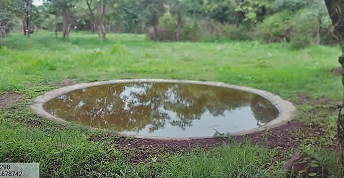Wild animals are wandering due to drying up of water bodies, forest ...