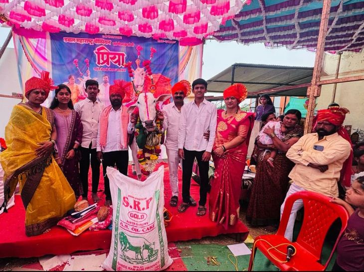 The champion was declared in the agricultural exhibition; the beautiful ...