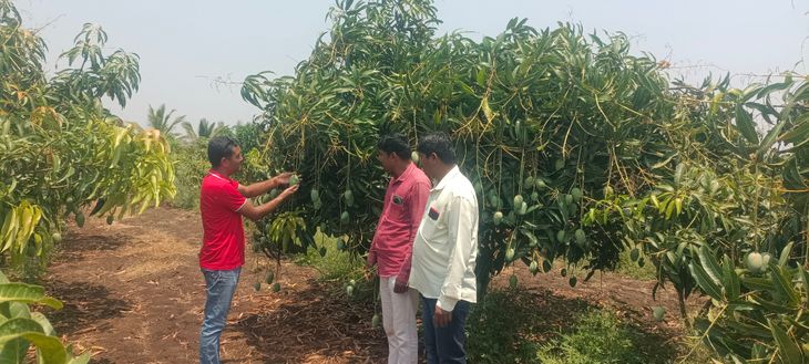 New direction in the Corona era; Taking farm ponds, growing saffron ...