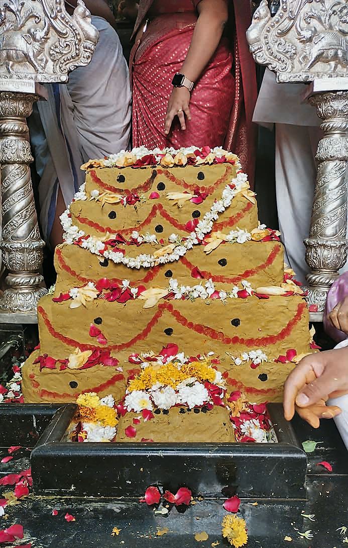 Ten thousand devotees had darshan of Sant Nivruttinath Maharaj, the ...