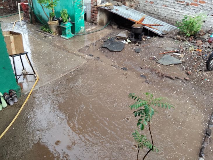 Hailstorm in Gurukunj Mozari, damage to sorghum and onions | अवकाळी ...
