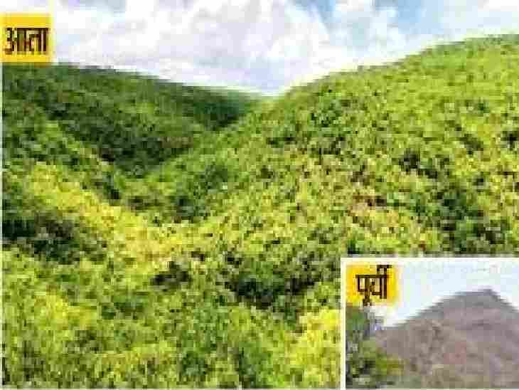 Learning from the drought, villages created 3000 acres of forest ...