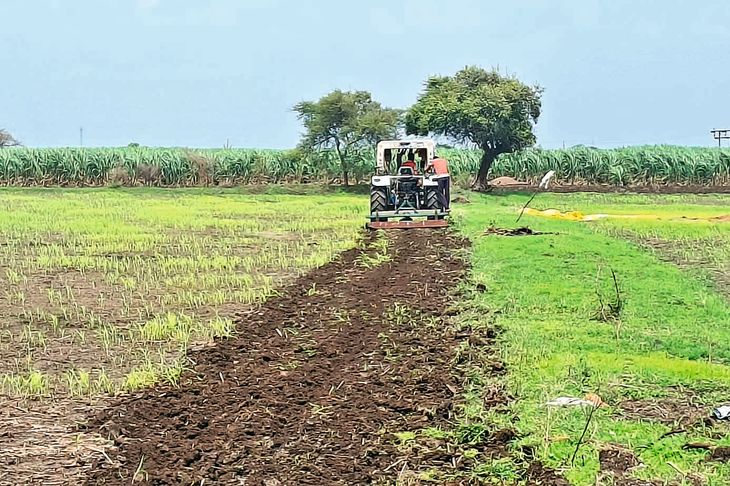 Increase in cultivation costs in Ausa taluka, farmers suffer, Kharif ...