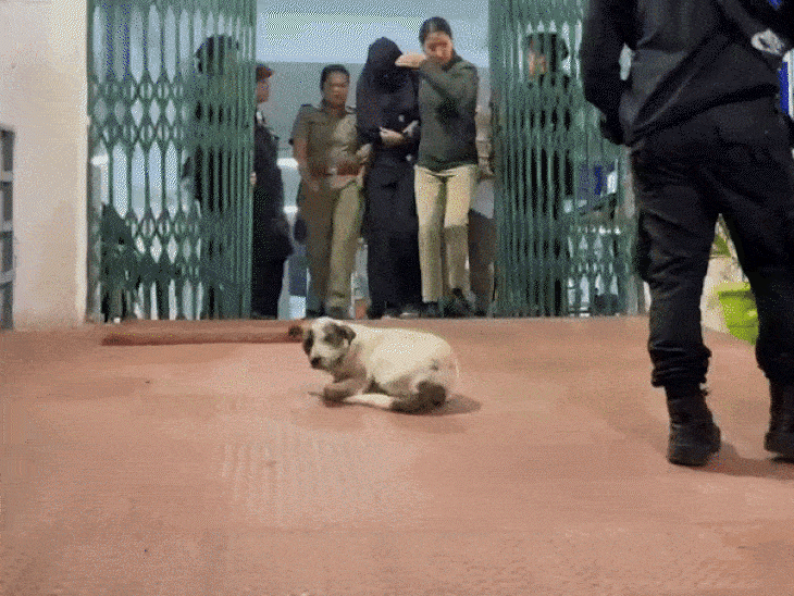 Indore Businessman Raja Raghuvanshi Murder Remand | राजा मर्डर- आज ...