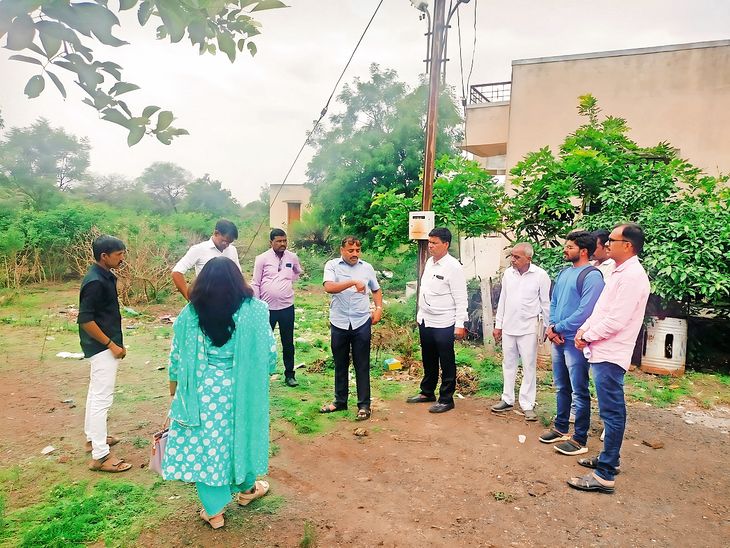 Vashi taluka aims to plant 1.5 lakh trees, but what about the 10,000 ...
