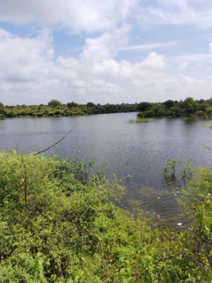 This year the lake was filled to its full capacity, soil fertility ...