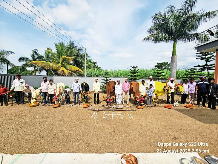 Formal worship of bullock pairs in Umarga, Pola filled in villages in ...
