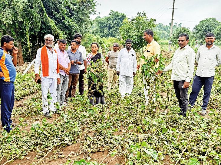 The government should provide complete loan waiver for farmers, demands ...