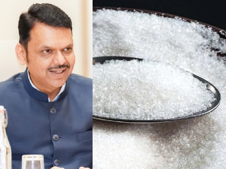 Maharashtra Sugar MSP Hike Demand 3100 to 4100 CM Devendra Fadnavis ...