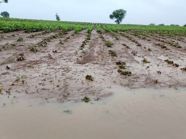 Amravati Farmers Relief Pending Flood Diwali MahaDBT