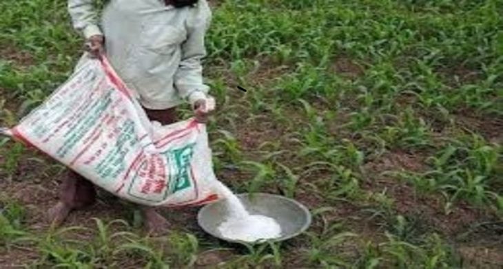 Price hike of Rs 200 per bag of fertilizer, poor planning of fertilizer ...