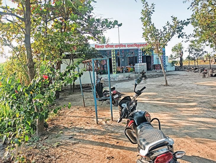 Dog killed in leopard attack, incident in Rastapur Shivara, Tar ...