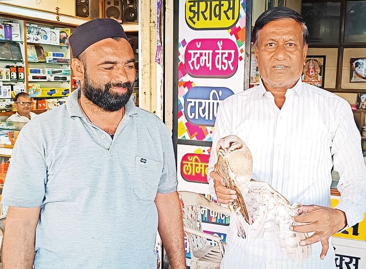 Owl injured after getting stuck in nylon net in Lasalgavi, bird lover ...