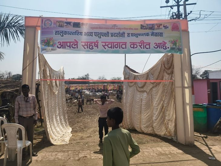 Opara Taluka Pashu Pradarshan Farce; Leaders Outnumber Animals