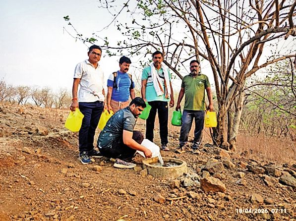 Birds and animals in Parli's forest division are getting a boost of life