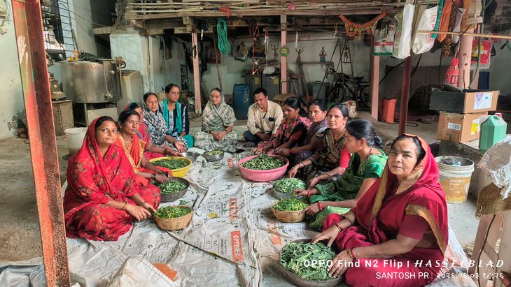 Women in Kharpanpatta are inclined towards organic farming, 200 liters ...