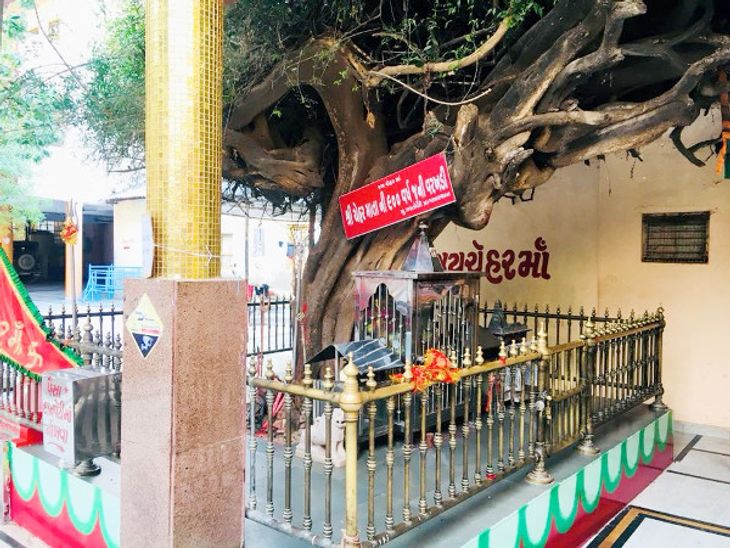 how to reachChehar Maa Temple Martoli