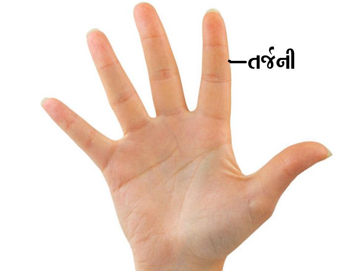 palmistry index finger said lot of things about person