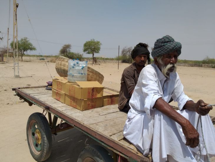 Mavsari police caught liquor in camel cart in banaskatha