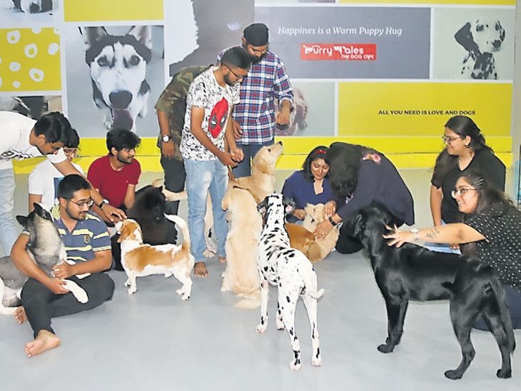 Gujarat's first 'dog cafe' opened in Ahmedabad to play with dogs