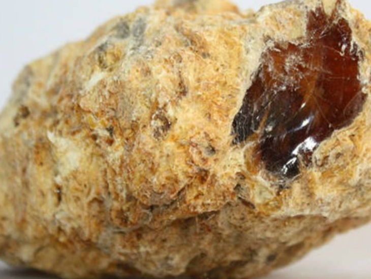 Mumbai, Ambergris is a waxy substance, 1.7 Crore Worth, Whale Vomit ...