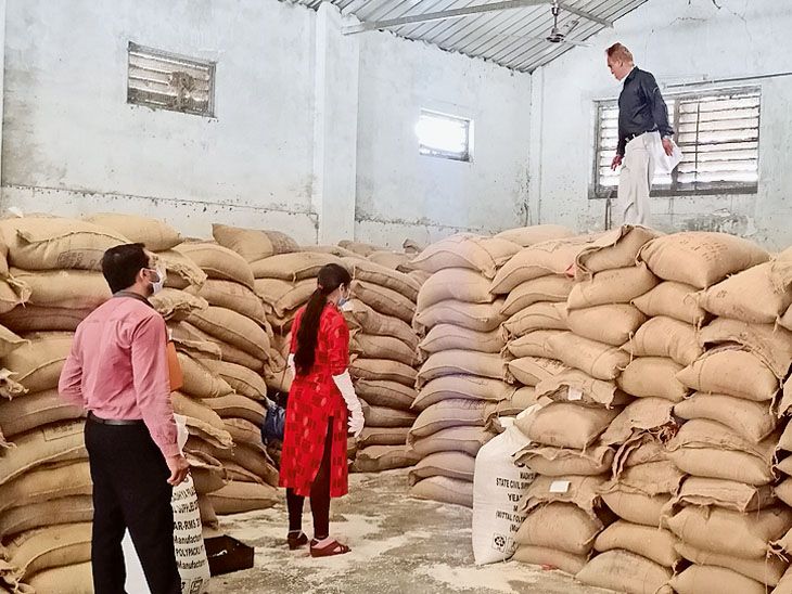 Checking of Gandhinagar Squad in government grain godown, more than ...