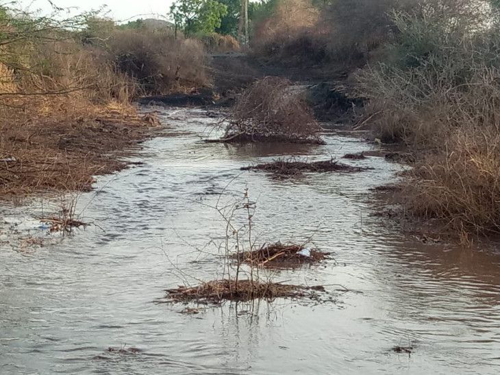 Climate change in Saurashtra, rains with thunderstorms in Chibhada and ...