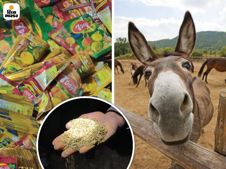 In the name of the branded company, donkey droppings, spices were ...