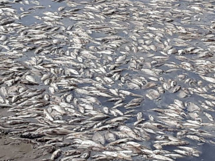 Thousands die in Sonmati Dam