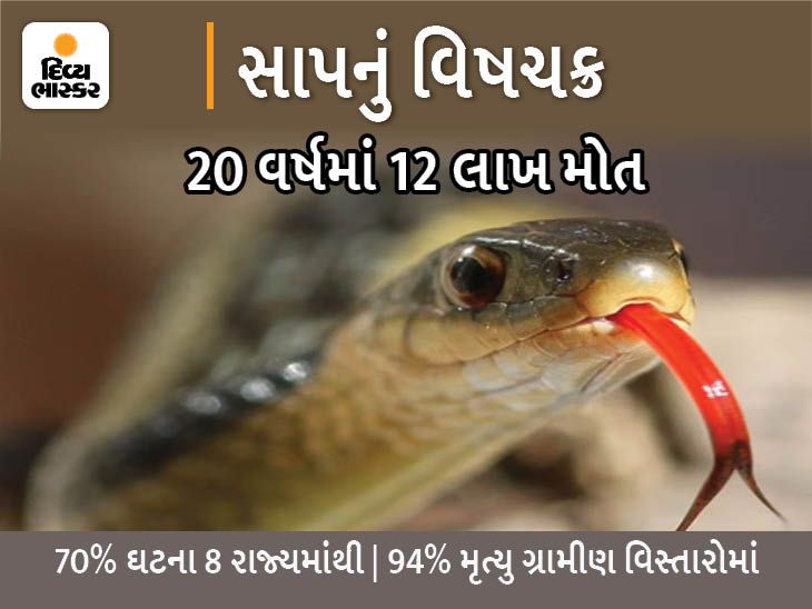 The death toll from snake bites in India is shocking, with 58,000 ...