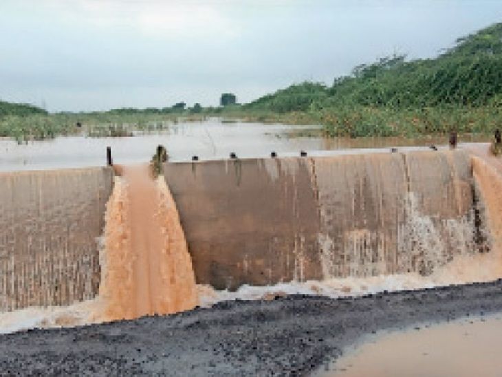 Rain in Surendranagar district for last four days, 4 reservoirs are 50 ...