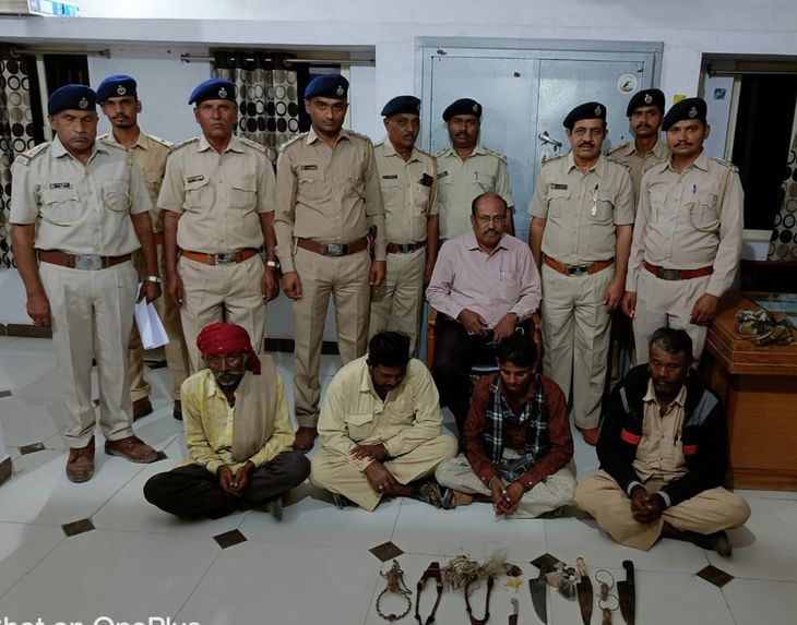 Forest department team raids Bajana and Dhangadhra Ghudkhar sanctuaries ...