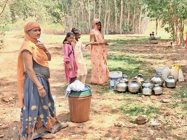 Wasmo scheme in 25 villages of Kadana has been completed in government ...
