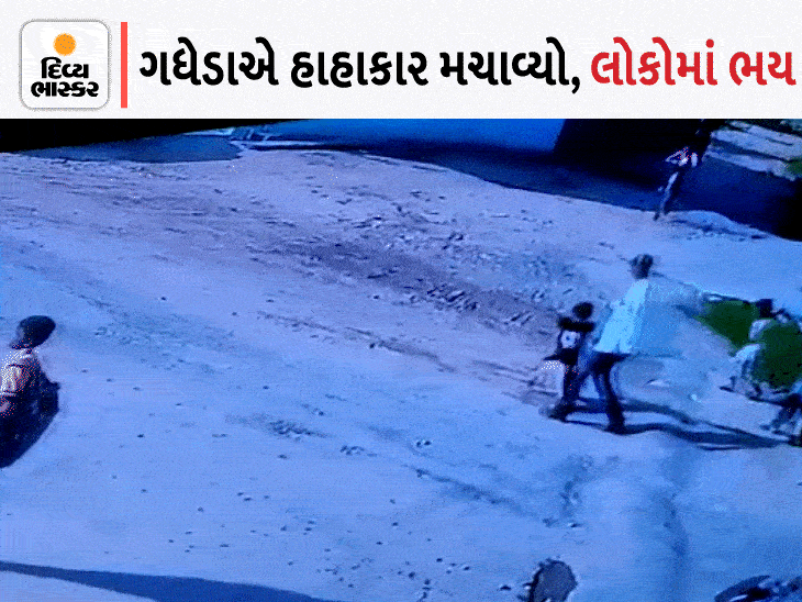A rabid donkey creates a storm in Kheralu, runs away carrying 5 people ...