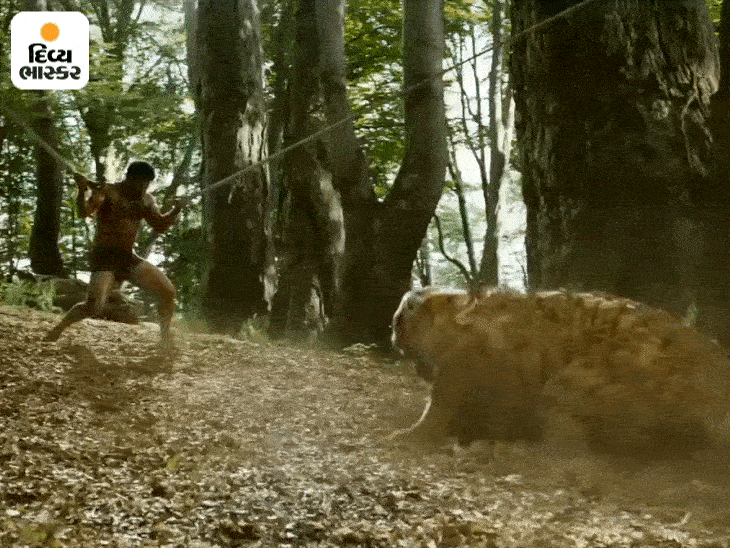 RRR How was the fight scene between Jr. NTR and the tiger shot?