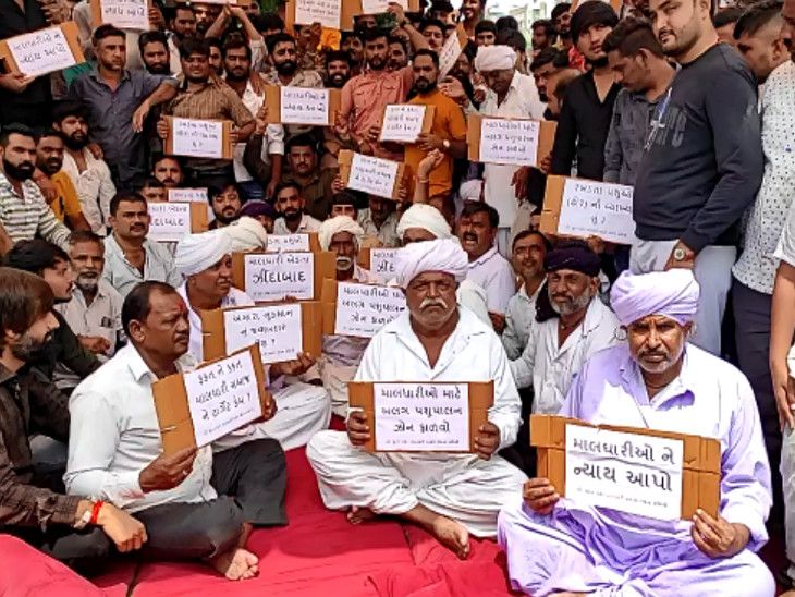 Mayor of Surat accused the system of despotism by taking action despite ...