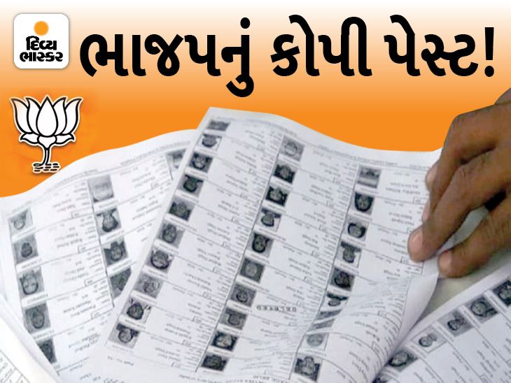 BJP leaders copied directly from the voter list to form the page ...