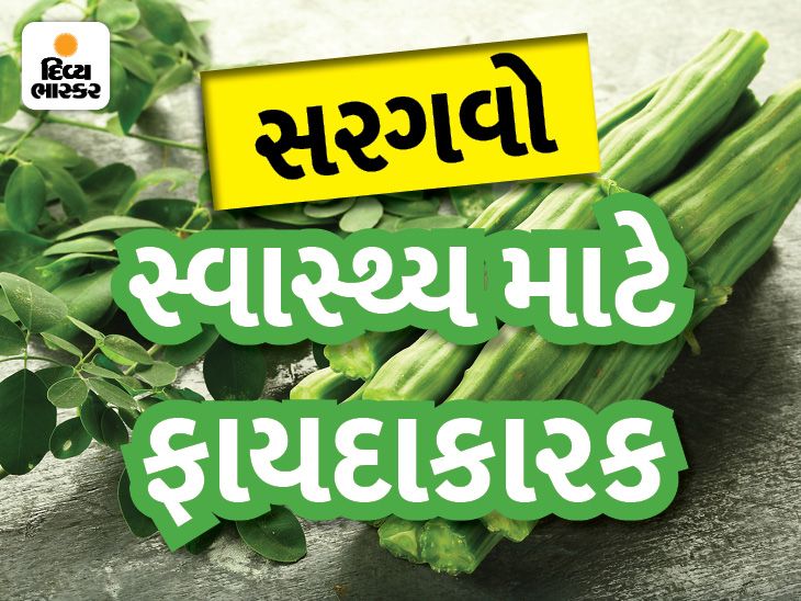 Sargava root to fruit and flower are also beneficial to get rid of many ...