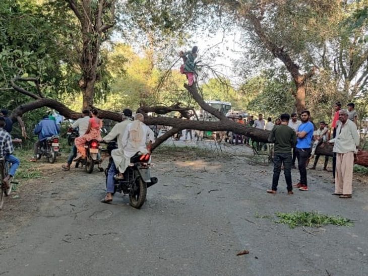 The main road from Pavagadh to Ghoghamba saw long queues of vehicles ...