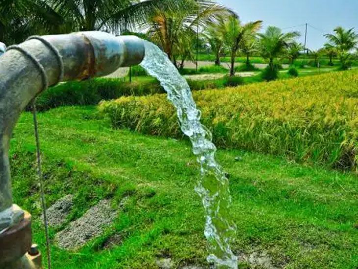 76.70 percent planting of ravi crop was completed in Bharuch district