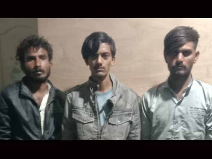 6 cattle were rescued while being taken to slaughter house near Bydna Boral | ધરપકડ: બાયડના બોરલ ...