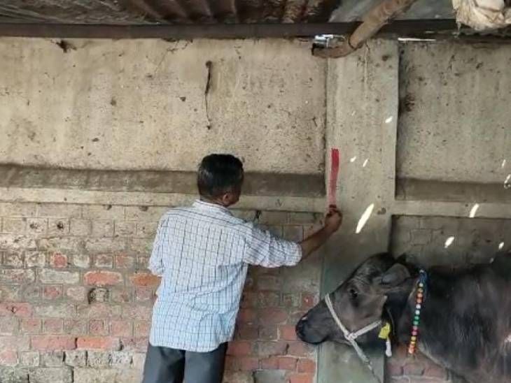 Mahtal was given 7 days to remove the pressure of the pushers in ...