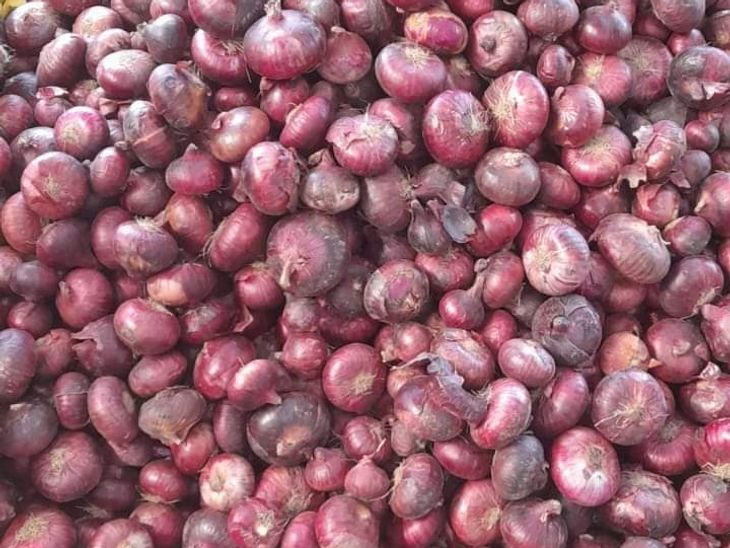 NAFED will start procurement of Kharif onions from March 9 from places including Porbandar ...