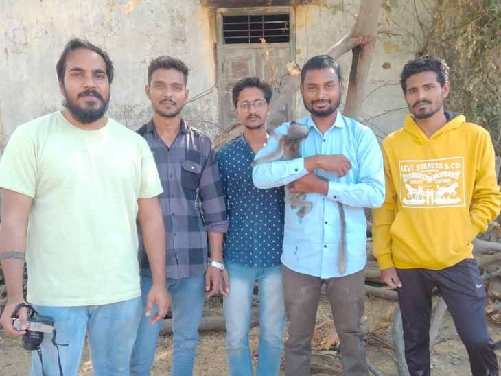 Kapiraj cubs found in a 200 feet deep empty well in Tarwa village were ...